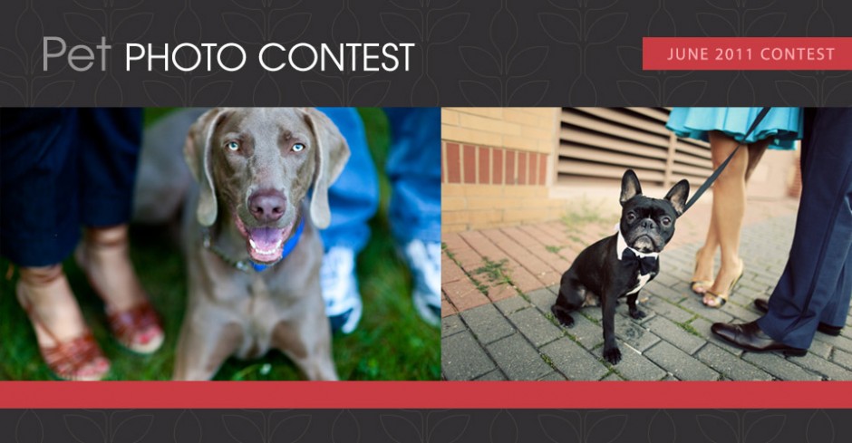 Pet Contest Voting! « Blog :: Miller's Professional Imaging